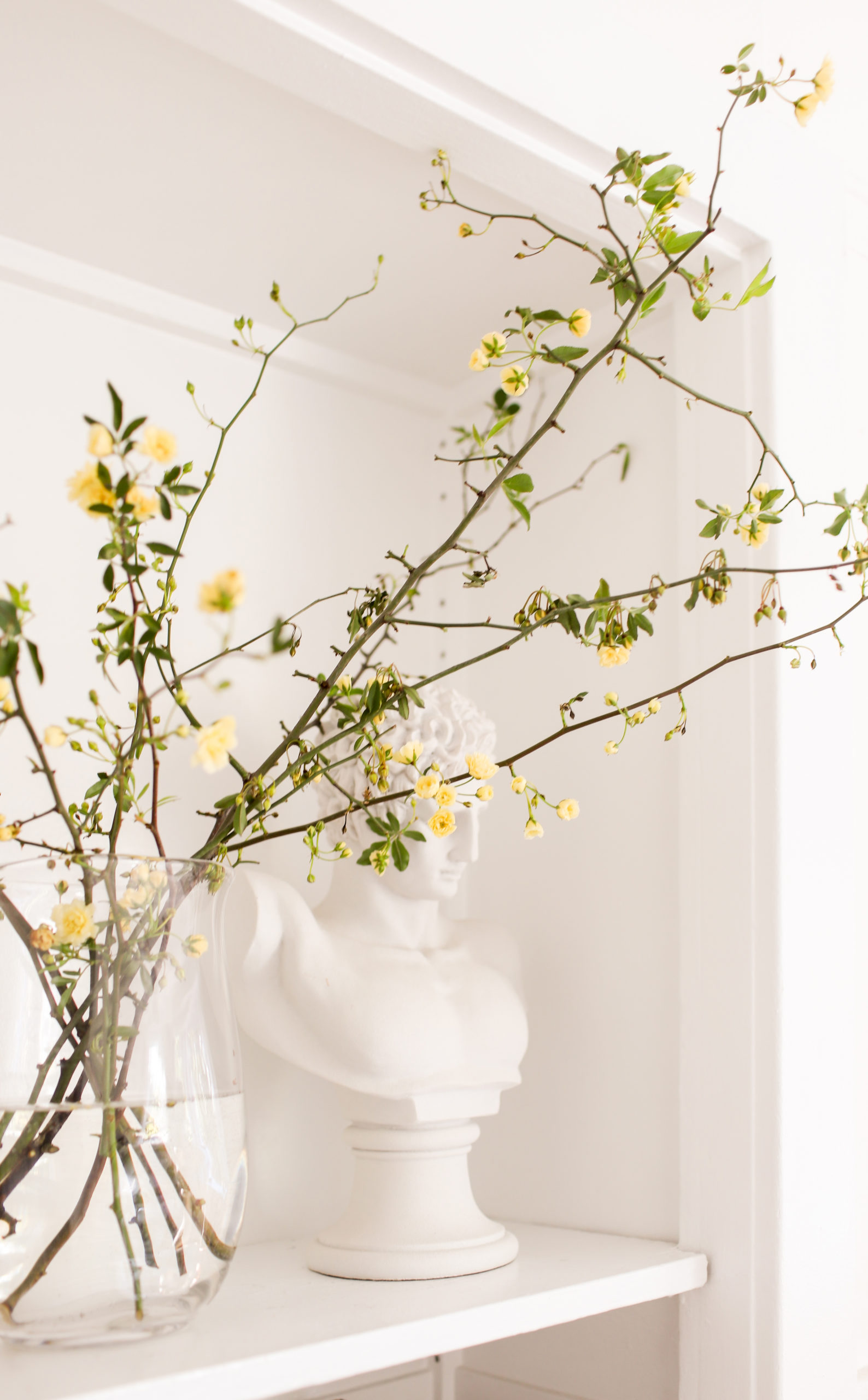 Spring Picks For The Home II - Harlowe James
