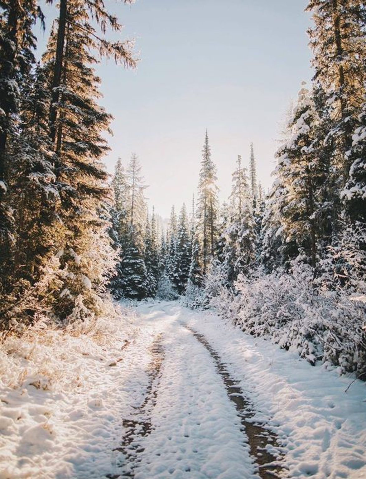 Monday Inspirations 12.19 - Harlowe James